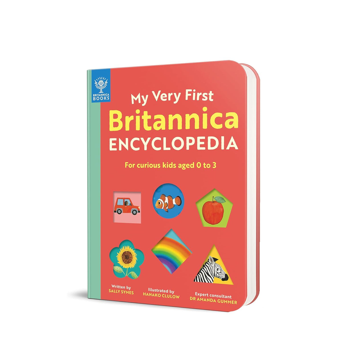 New Arrivals! — Spellbound Kids Bookstore