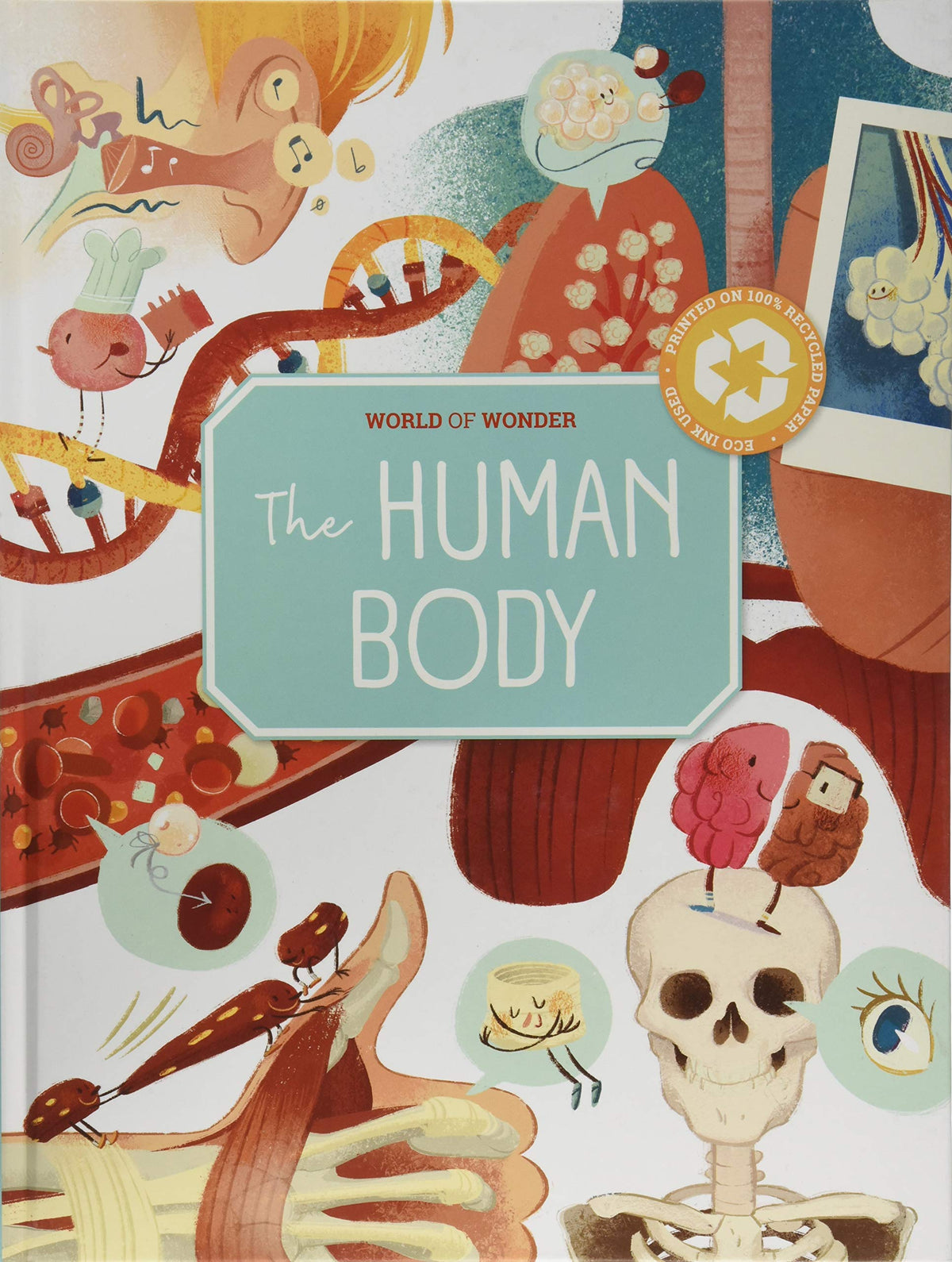 World of Wonder : The Human Body — Spellbound Kids Bookstore